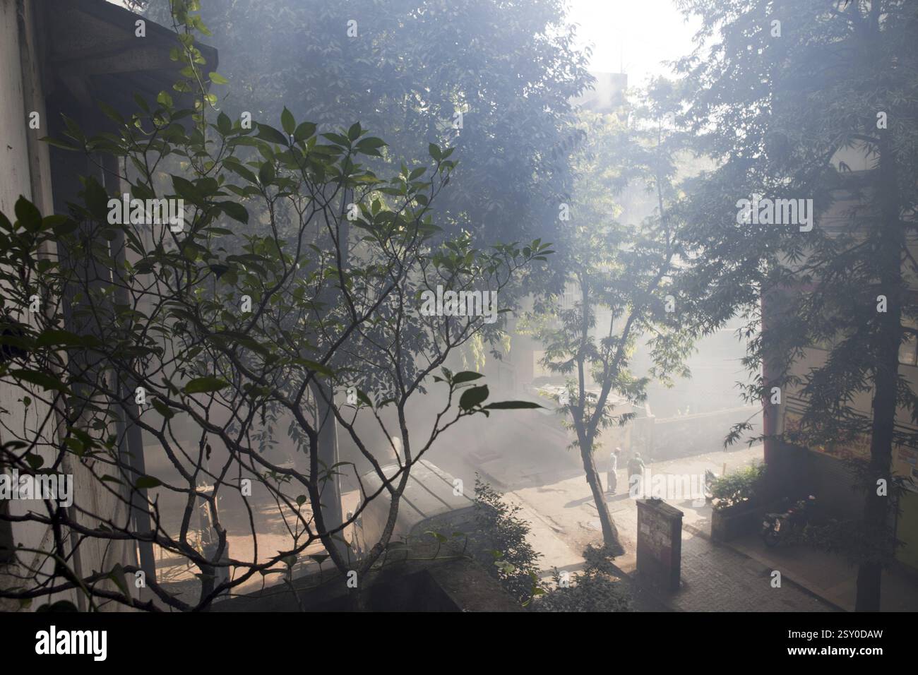 Mosquito control fogging insecticide fog dadar mumbai Maharashtra India ...