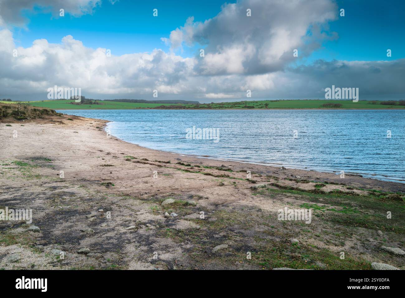 The foreshore of Colliford Lake on windswept Bodmin Moor in Cornwall in ...