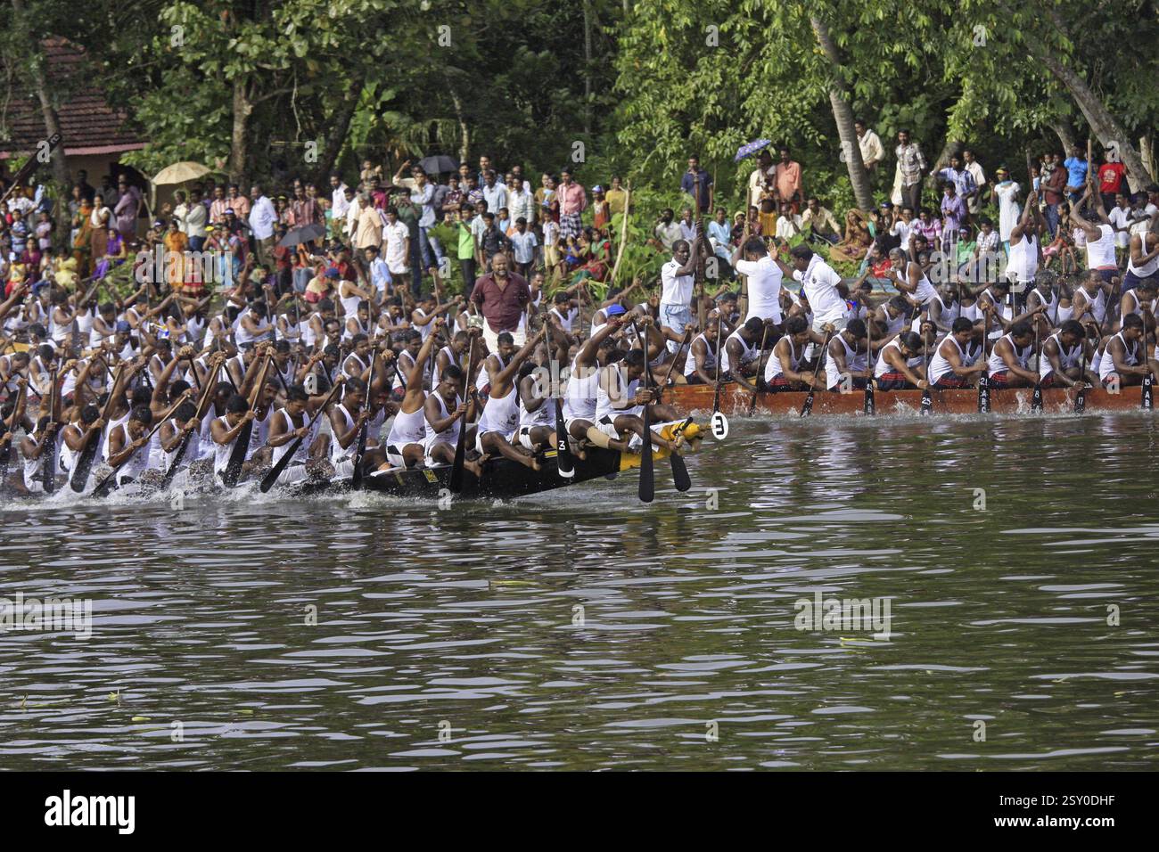 Snake boats Racing in Punnamada Lake at Alleppey Kerala India Stock ...