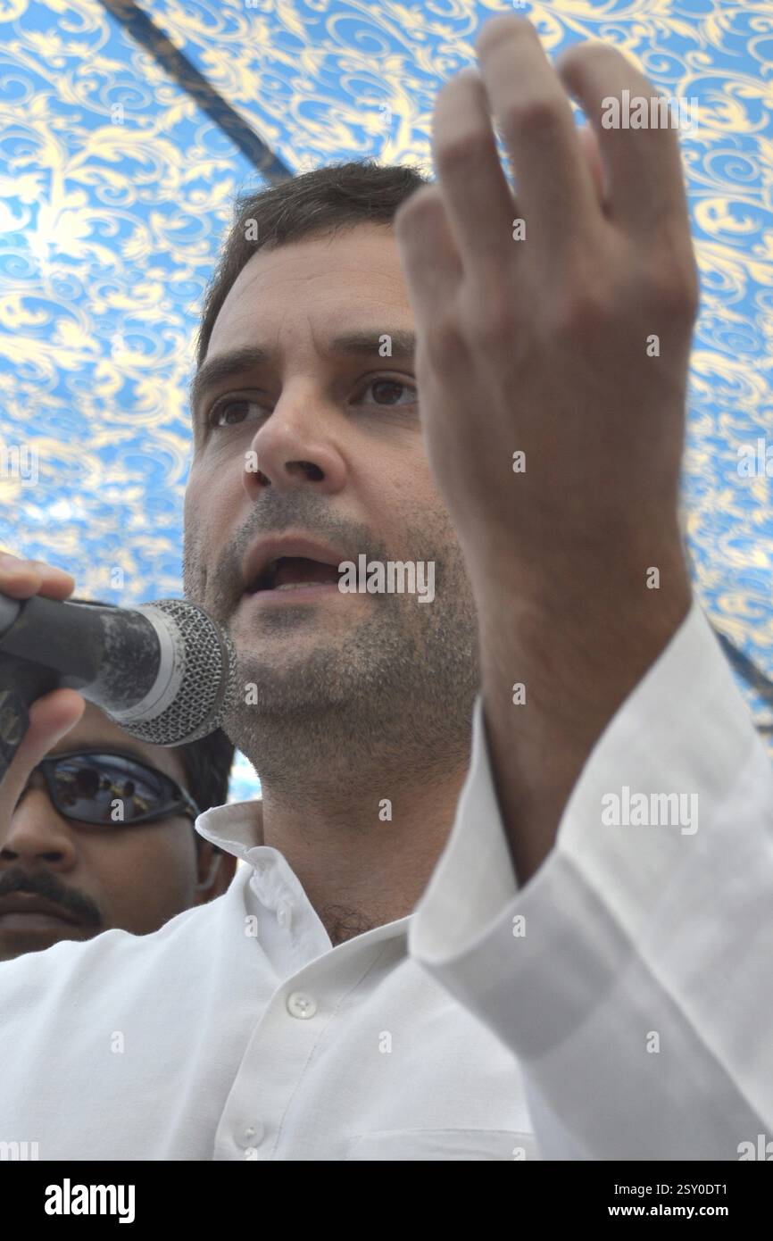 Indian national congress party, politician, rahul gandhi, india, asia ...