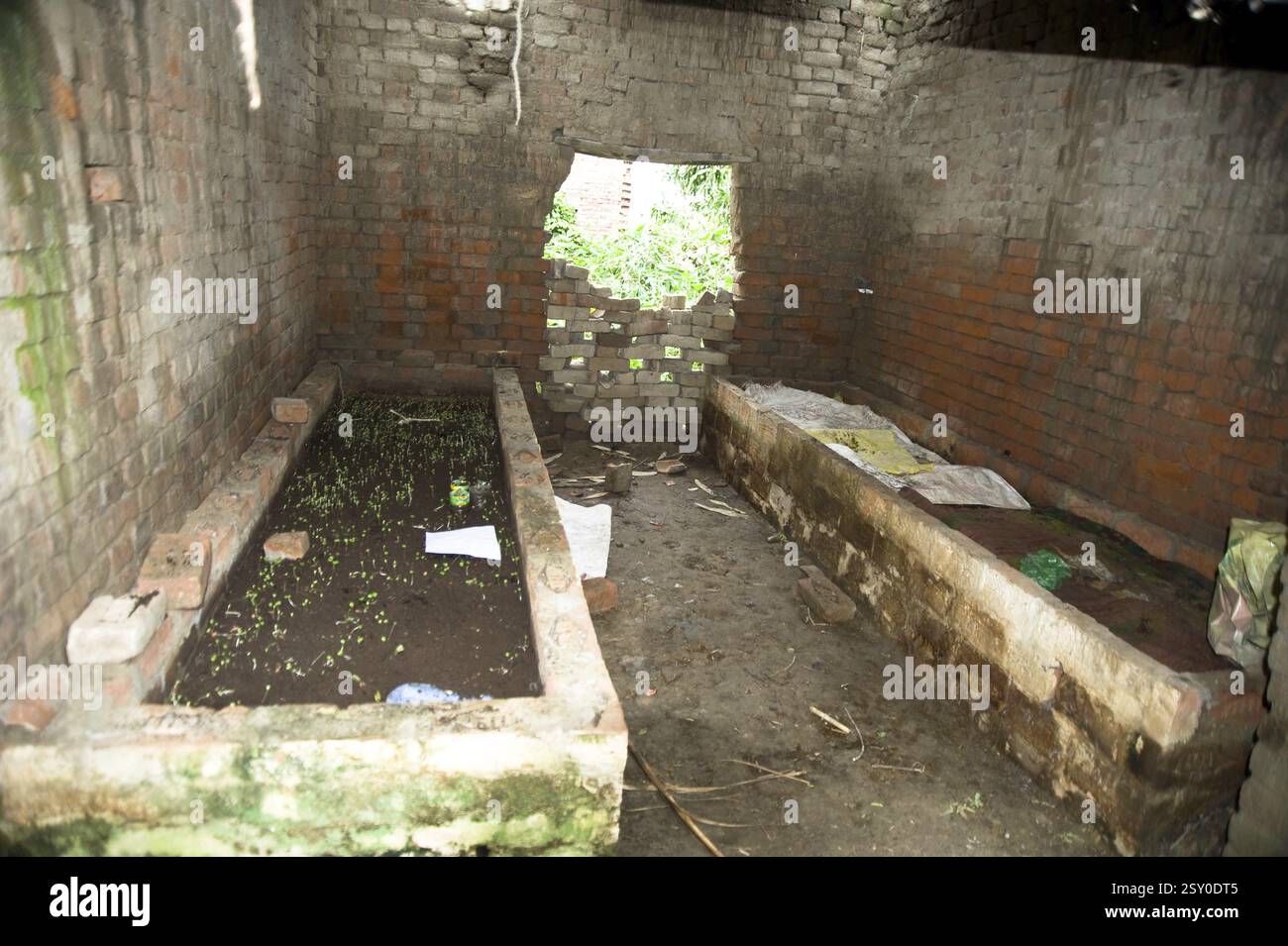 Vermi Compost in village uttar pradesh India Asia Stock Photo - Alamy