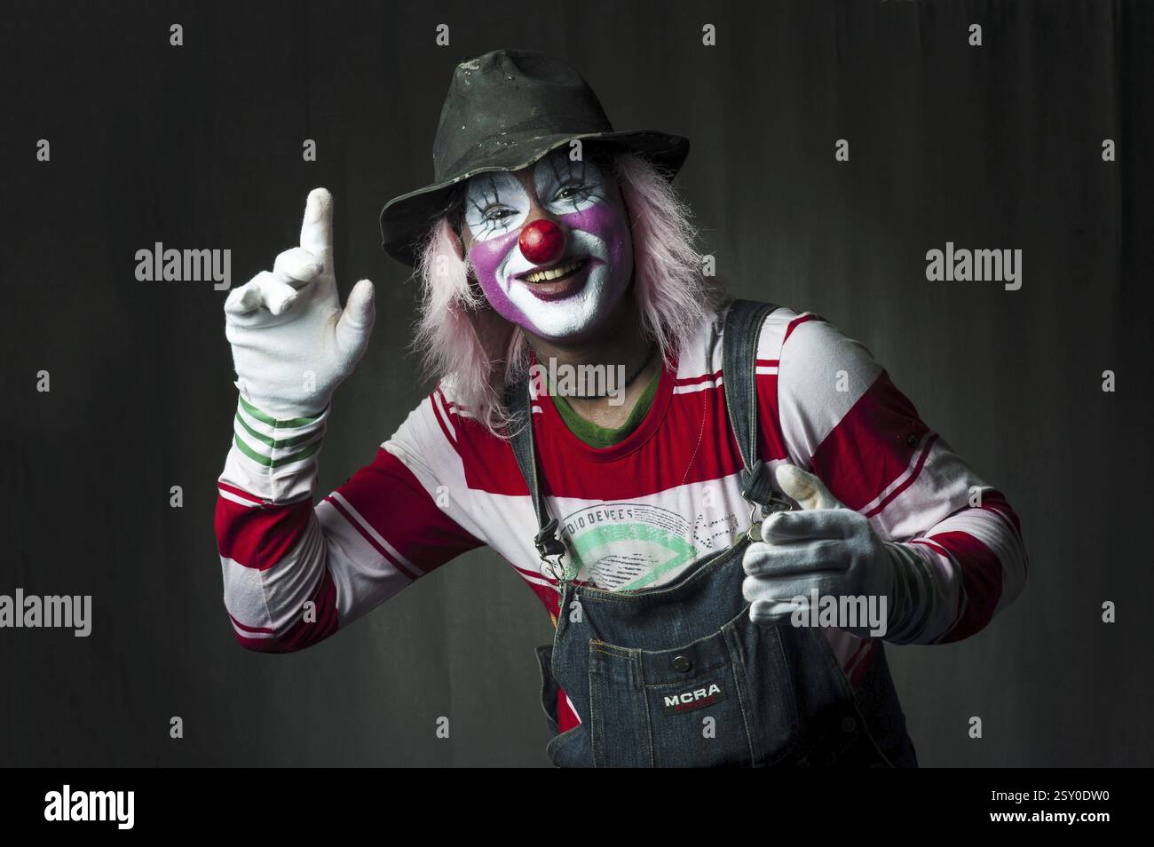 Man dressed up as joker, jodhpur, rajasthan, india, asia Stock Photo ...
