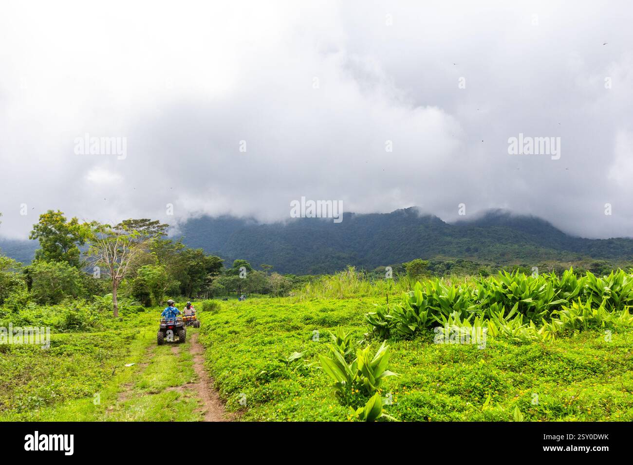Atvs riding on green hi-res stock photography and images - Alamy