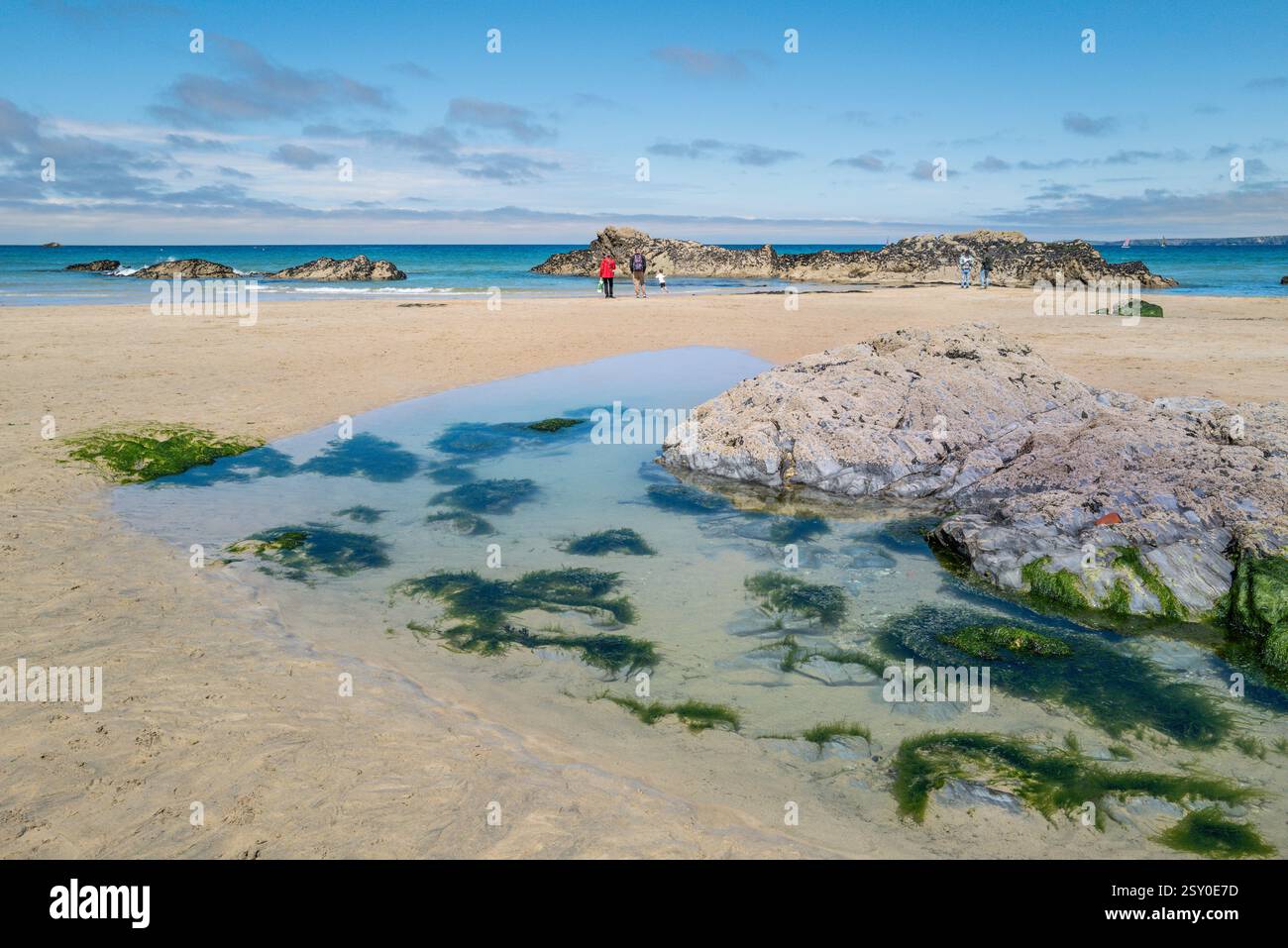 A rockpool on Towan Beach at low tide on the coast of Newquay in ...