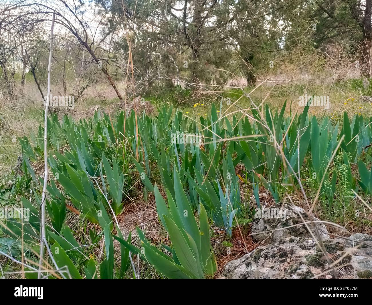 Unnamed grave hi-res stock photography and images - Alamy