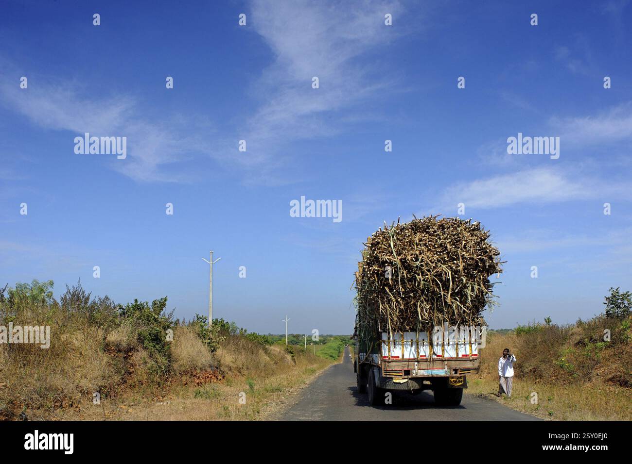Sugar cane transportation, bidar, karnataka, india, asia Stock Photo ...