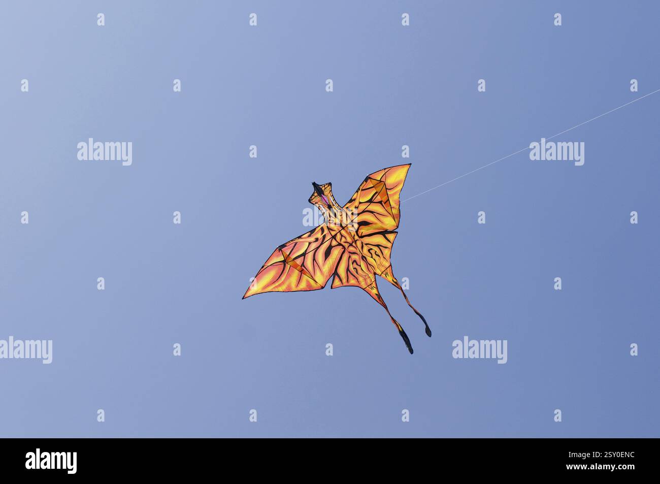 Designed and coloured fancy kite flying Pune Maharashtra India Asia ...