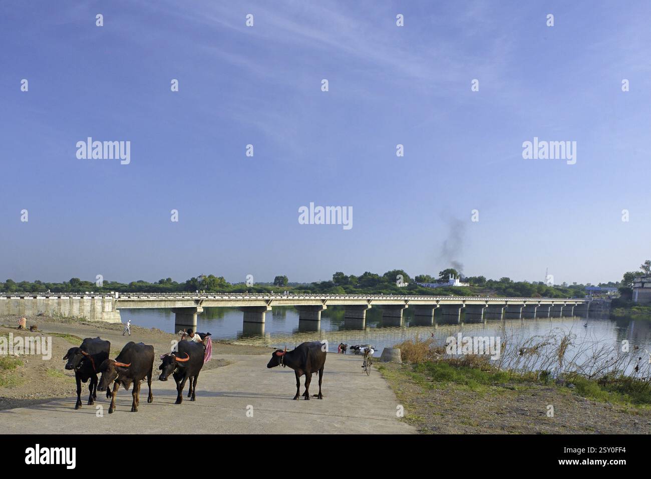 Godavari river, nanded, maharashtra, india, asia Stock Photo - Alamy
