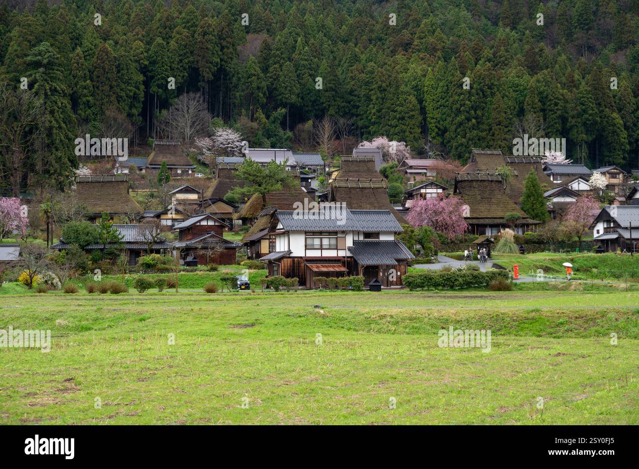 Traditional Japanese houses at Miyama, a rural village in the north of ...