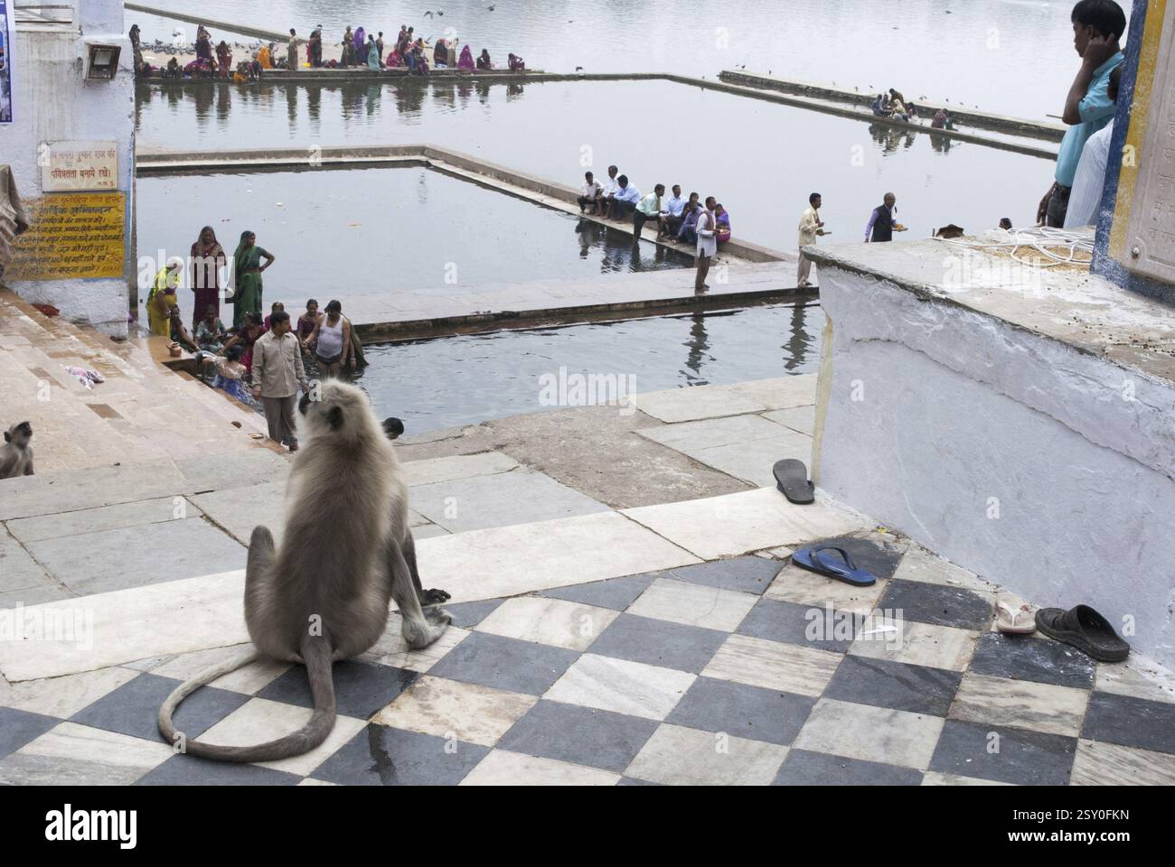 People bathing holkar ghat, pushkar, rajasthan, india, asia Stock Photo ...