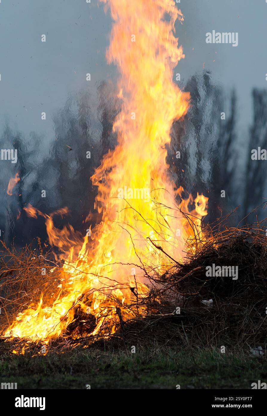Dry branches burn in nature Stock Photo - Alamy