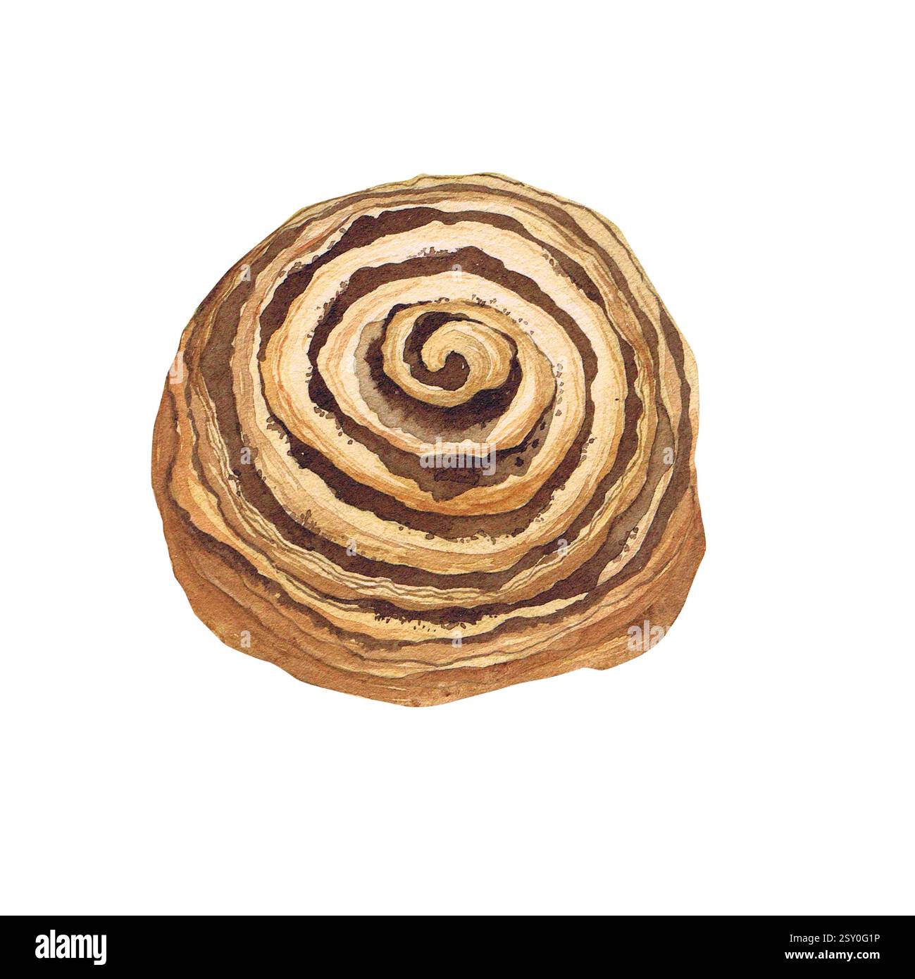 Watercolor illustration of baking. Hand-drawn raisin bun from isolated ...