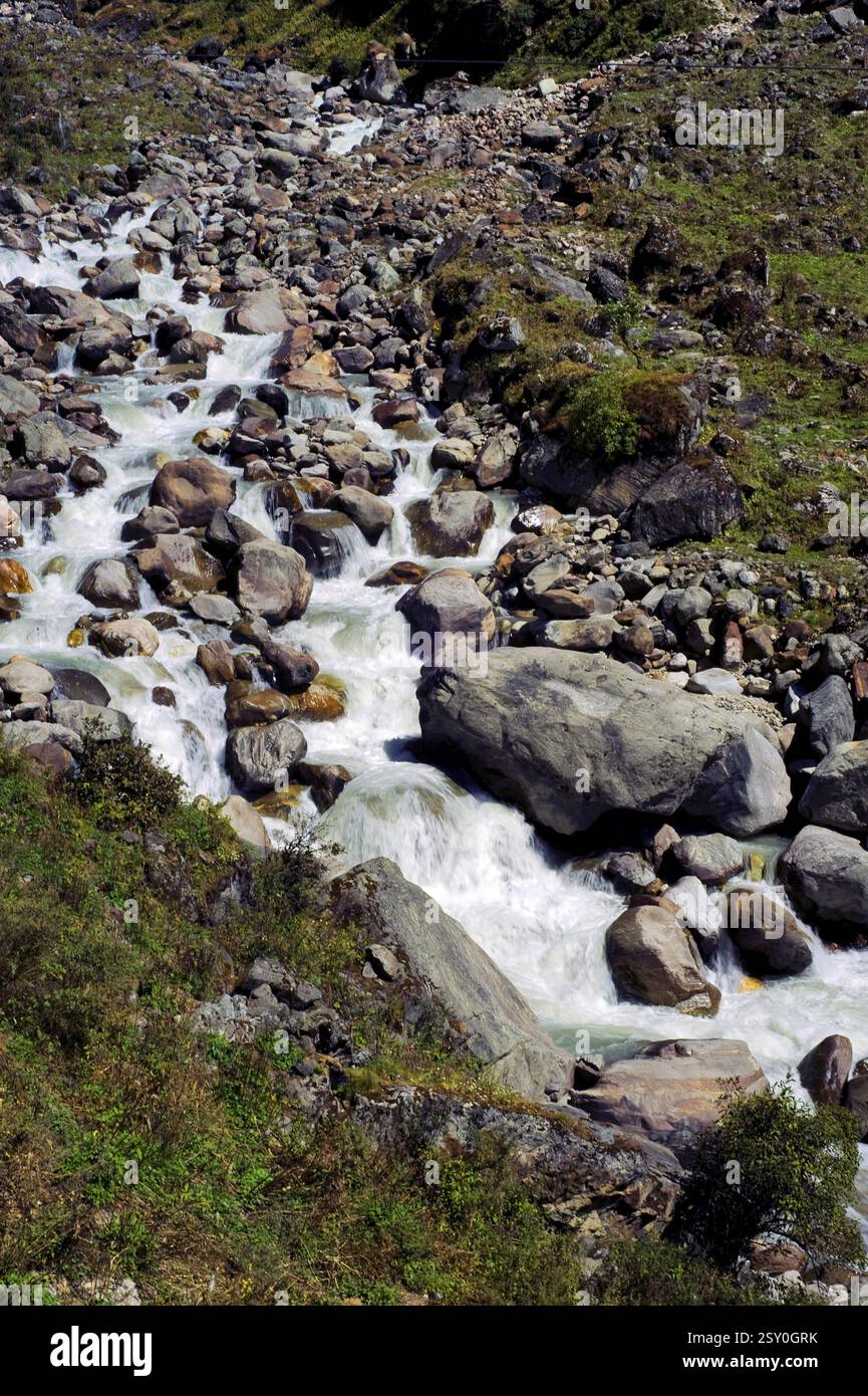 Mandakini river, kedarnath, uttaranchal, india, asia Stock Photo - Alamy