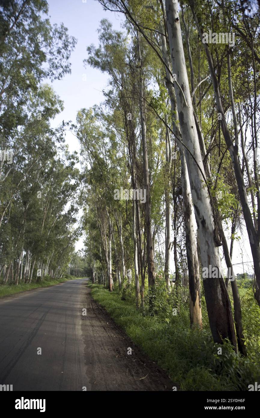 Road of Ralegaon siddhi village of Anna Hazare Maharashtra India Asia ...