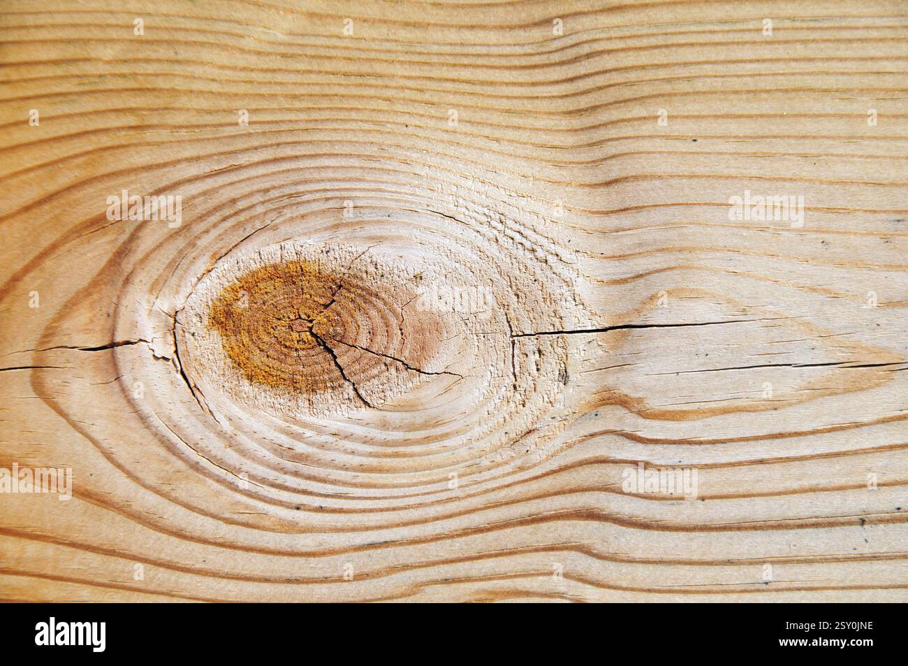 Pine wood grain structure Sweden Stock Photo - Alamy
