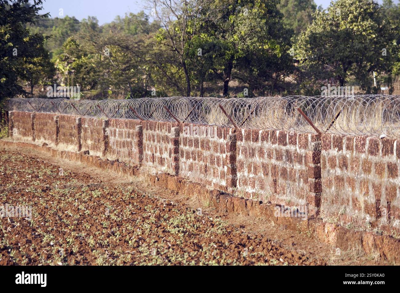 Compound wall and metal wire fence Maharashtra India Asia Stock Photo ...