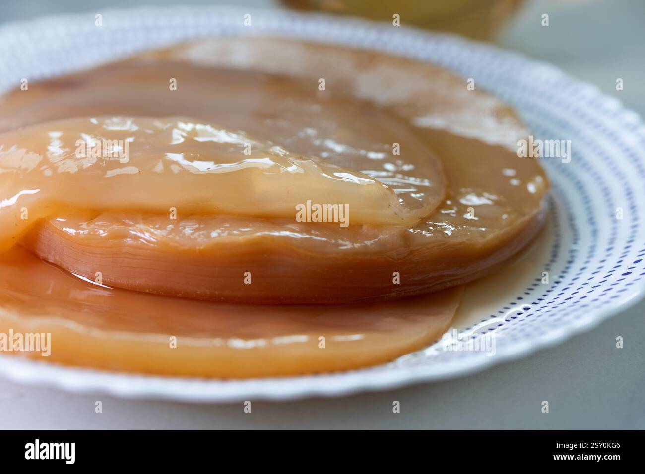 A closeup image of a translucent Kombucha SCOBY, showcasing its layered ...
