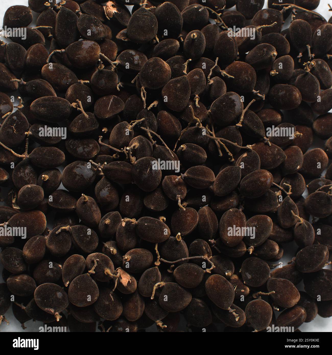 Overhead view of velvet tamarind on a white countertop, top view of ...