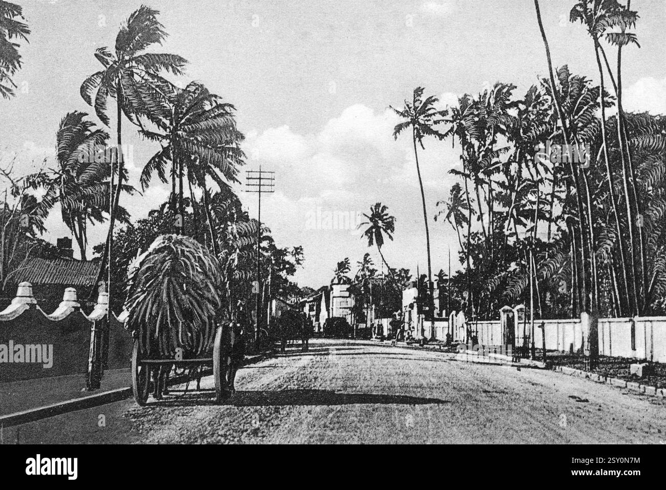 Old vintage photo of Matunga Road mumbai maharashtra India Stock Photo ...