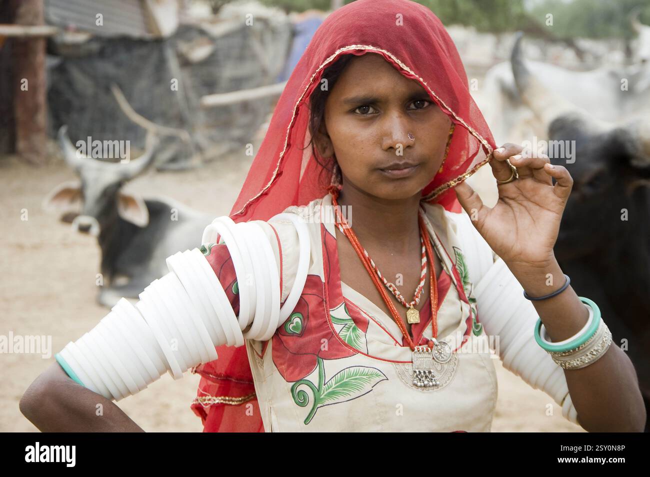 Tribal woman, pathmeda, godham, rajasthan, india, asia Stock Photo - Alamy