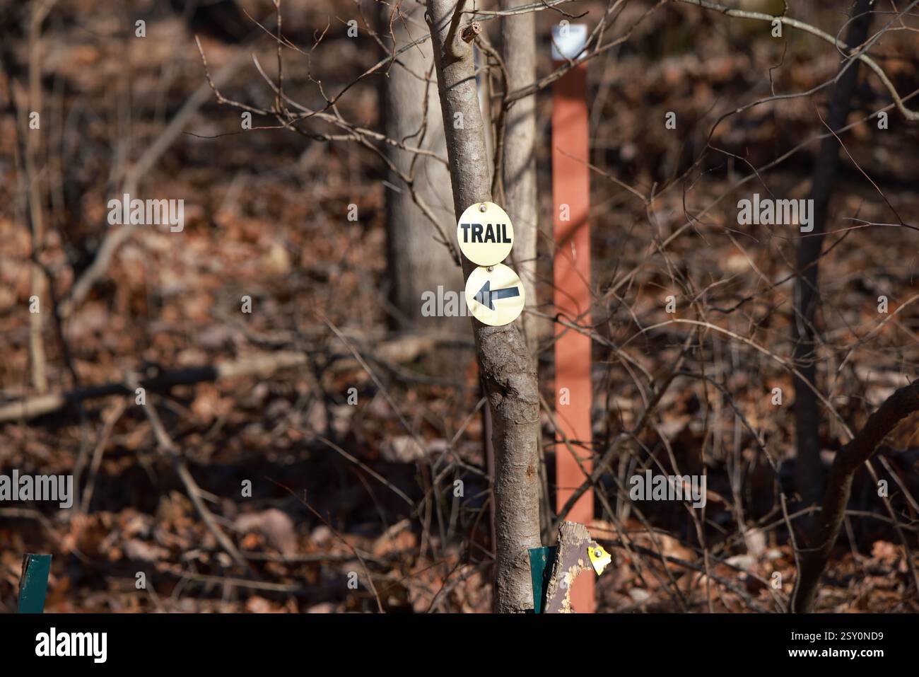 Trail indicator sign attached to a tree pointing towards the left Stock ...