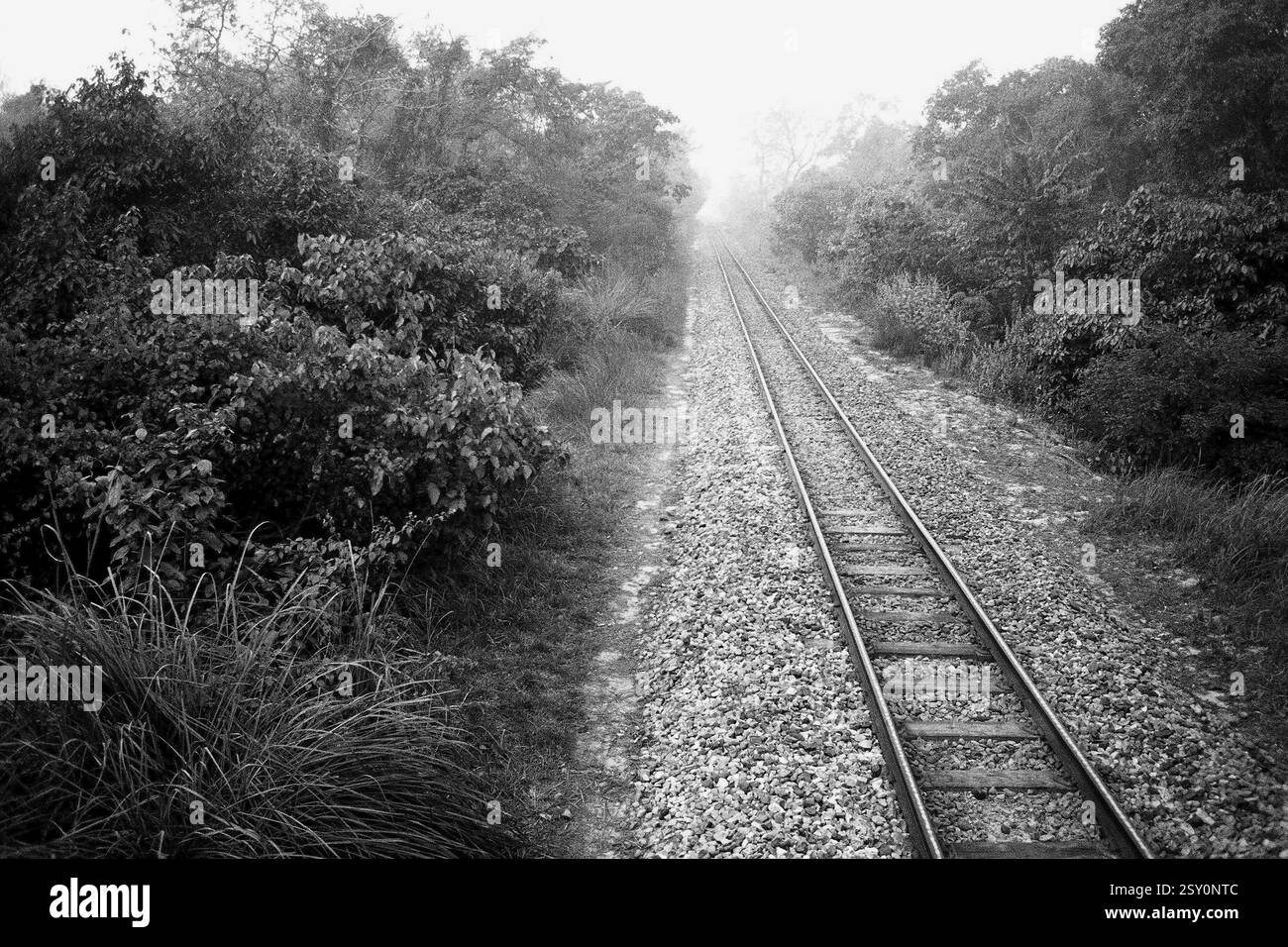Railway track passing through Dudhwa National Park Uttar Pradesh India ...