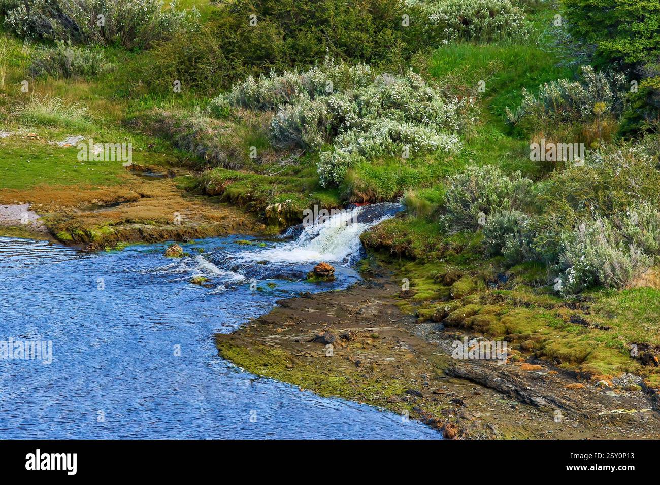 Waterfall in the Tierra del Fuego National Park near Ushuaia in the ...