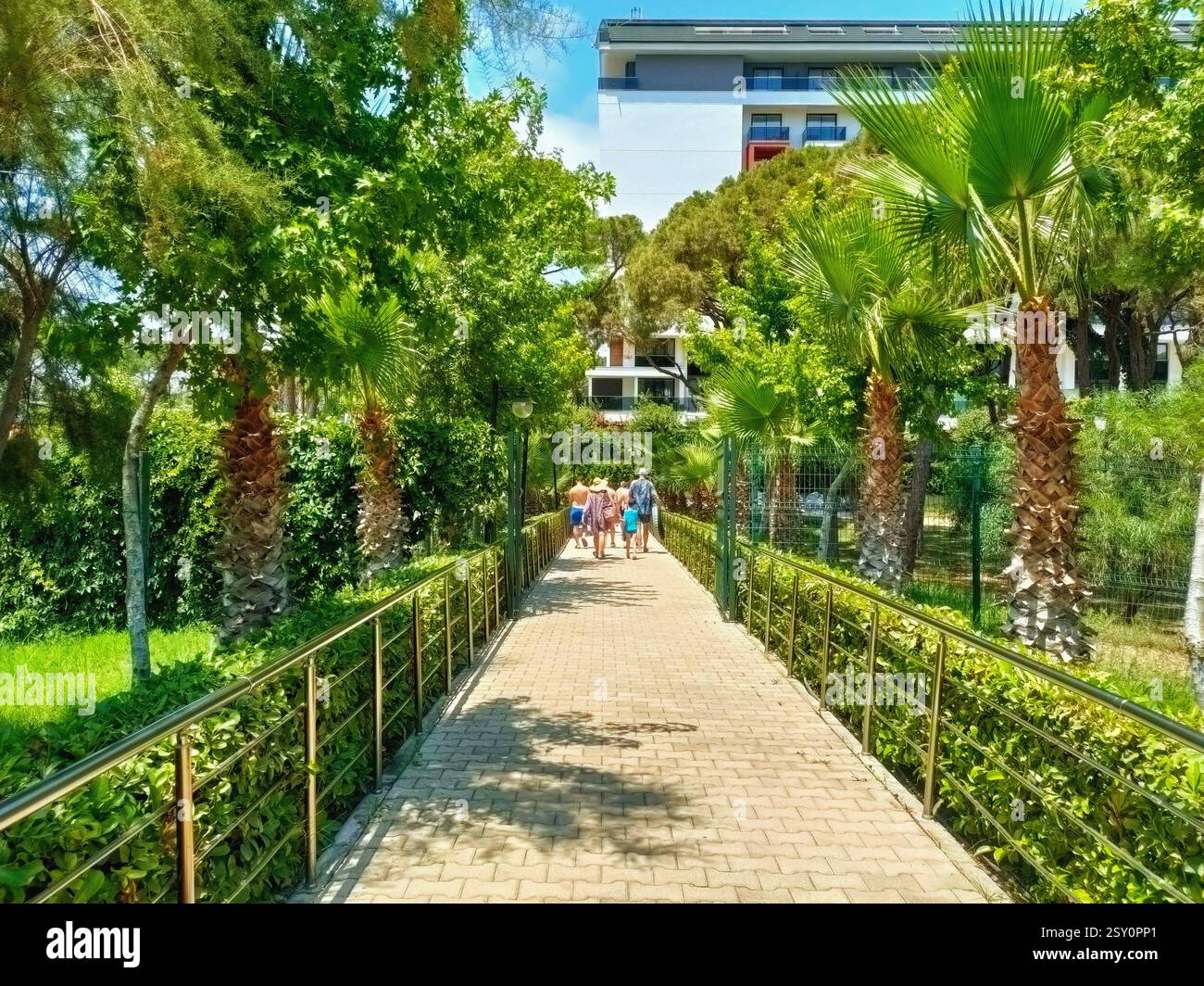 Walking tourists on the path with palm trees and hedges in the resort ...