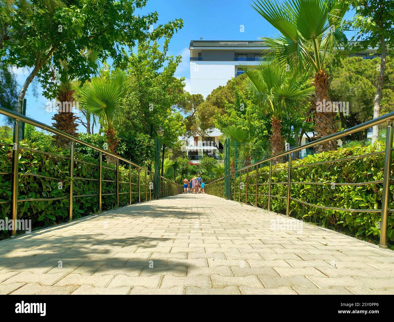 Walking tourists on the path with palm trees and hedges in the resort ...