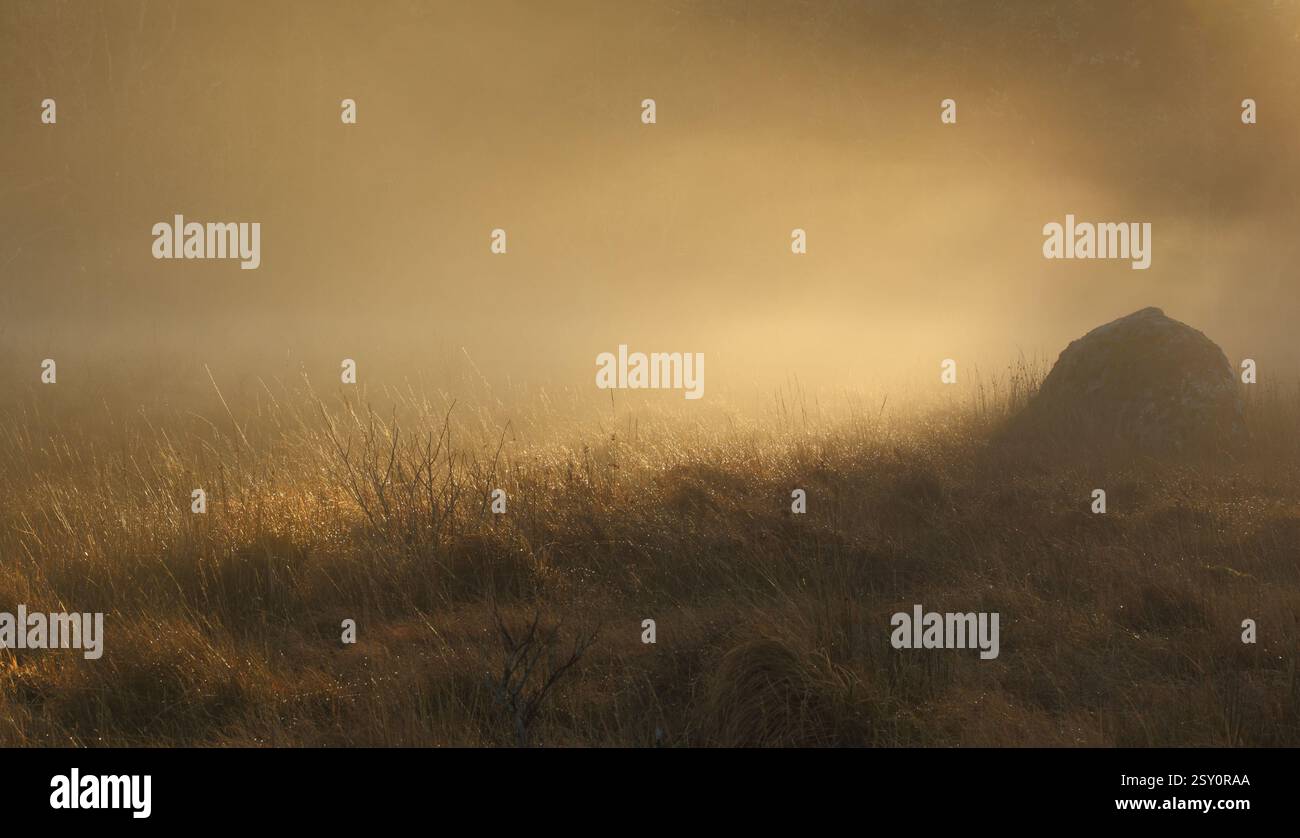 Sun rays at sunset through the mist in the Scottish Highlands Stock ...