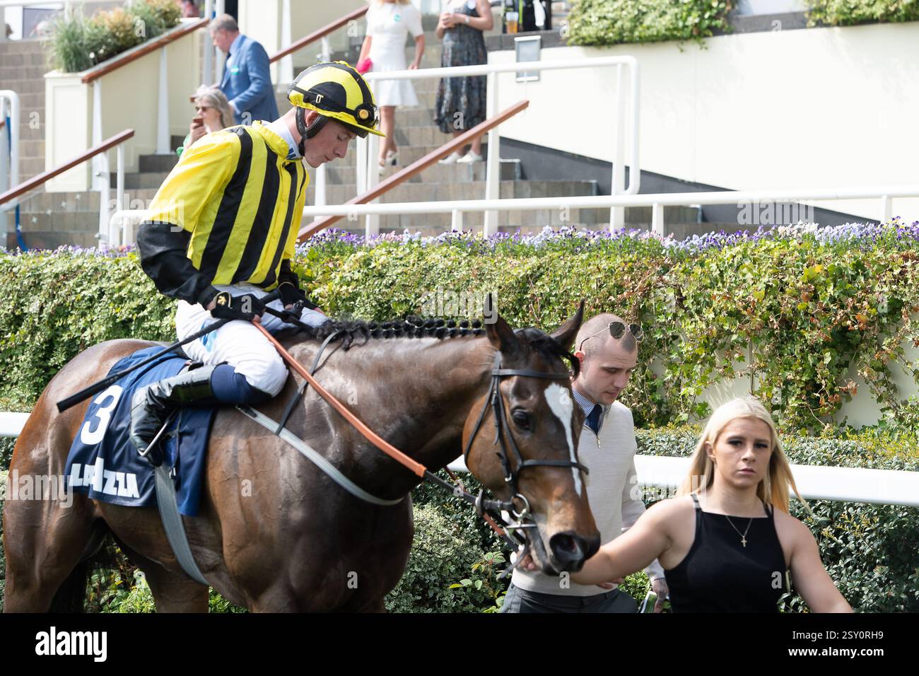 Ramazan horse hi-res stock photography and images - Alamy