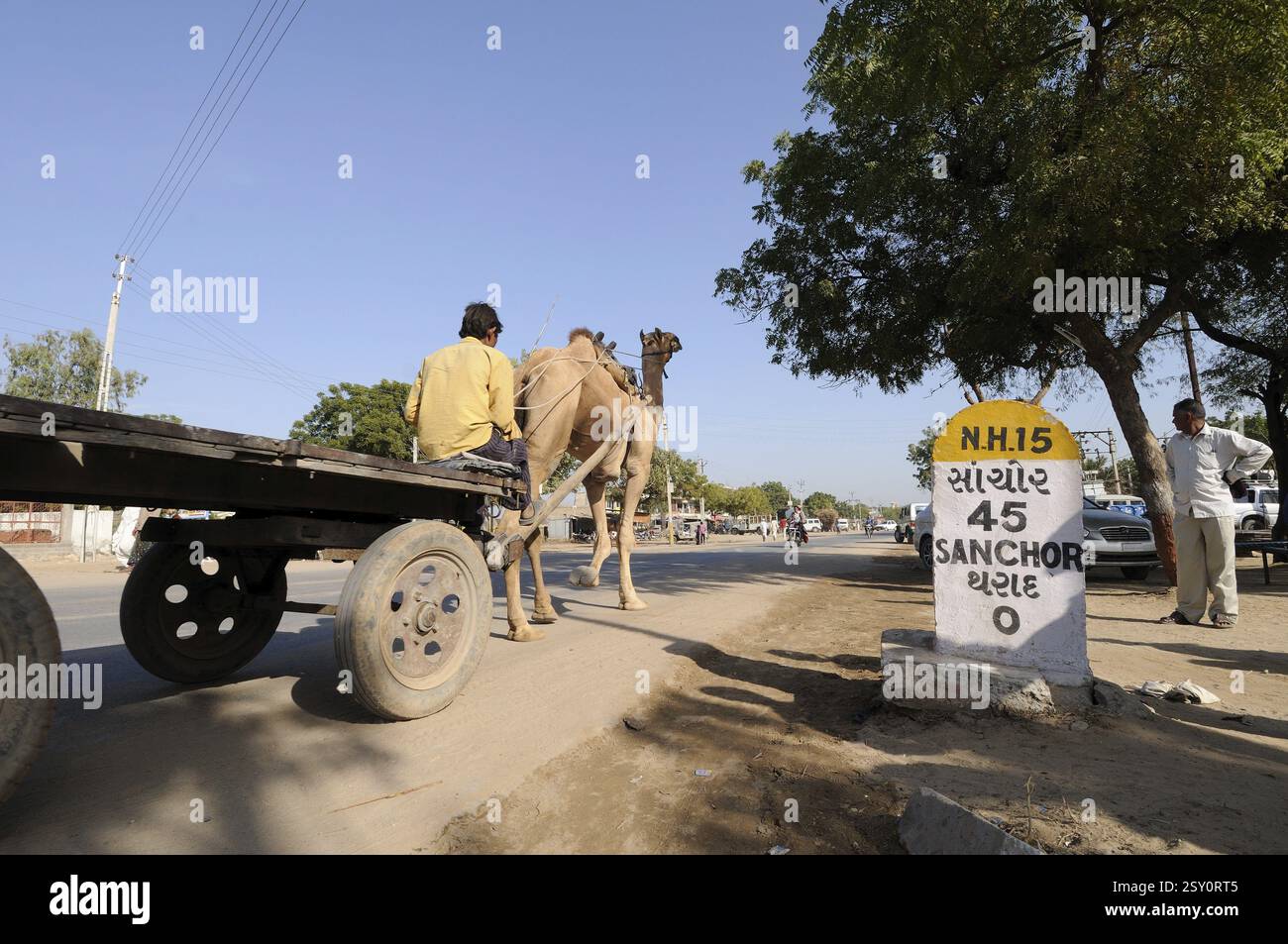 Camel Cart on Village Road Gujarat India Stock Photo - Alamy