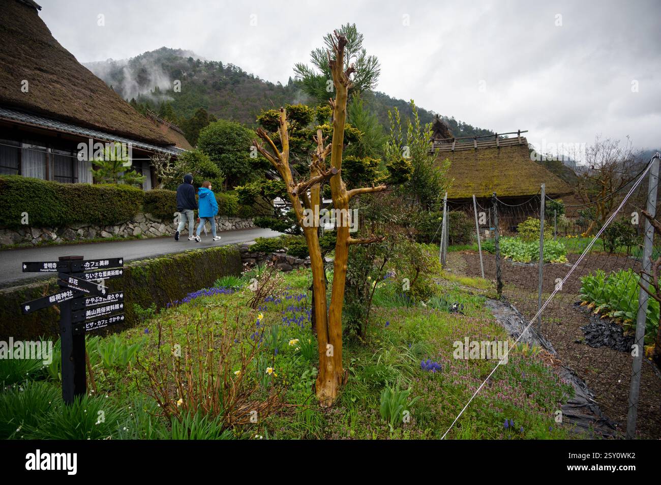 Traditional Japanese houses at Miyama, a rural village in the north of ...