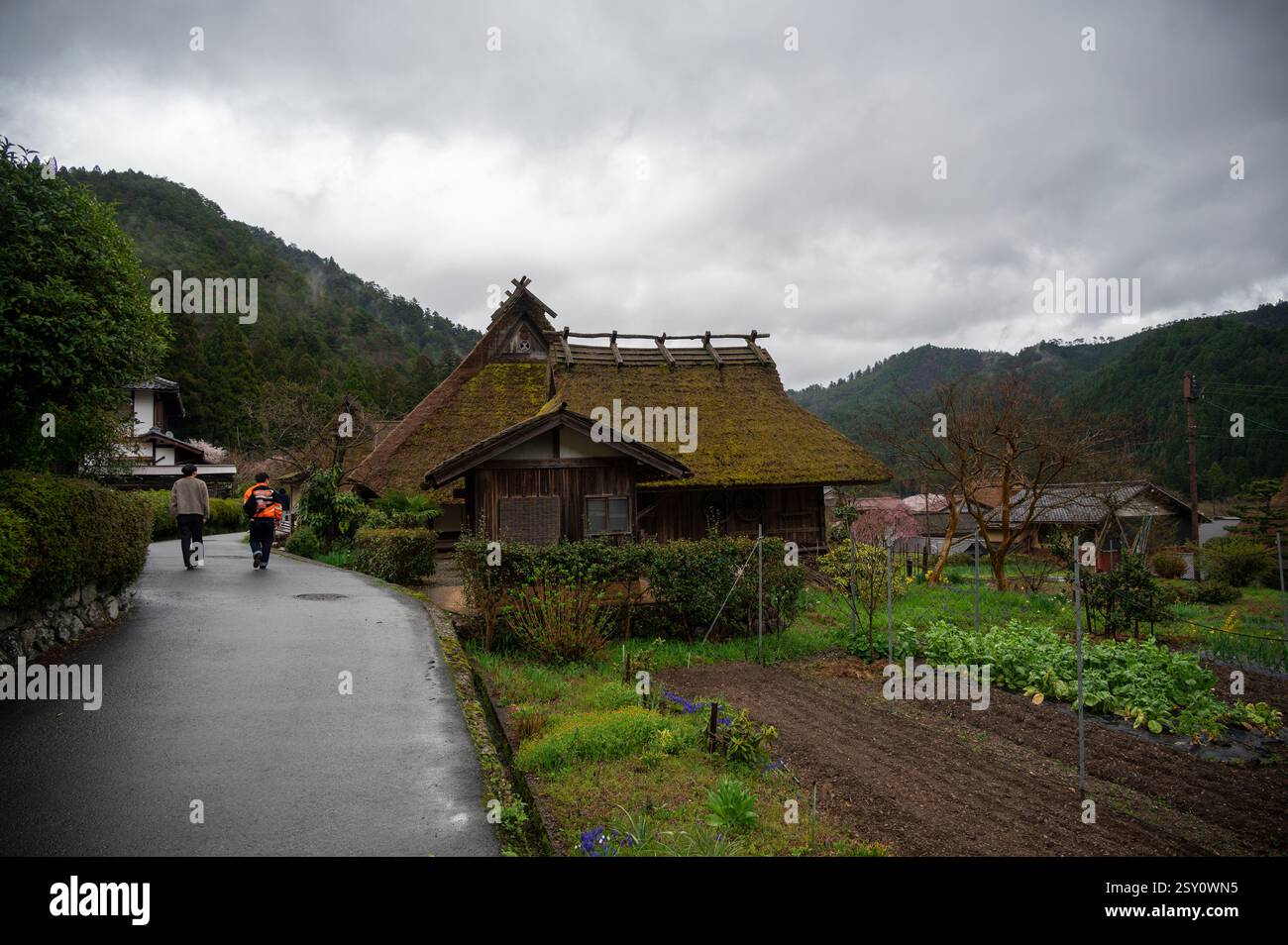 Traditional Japanese houses at Miyama, a rural village in the north of ...