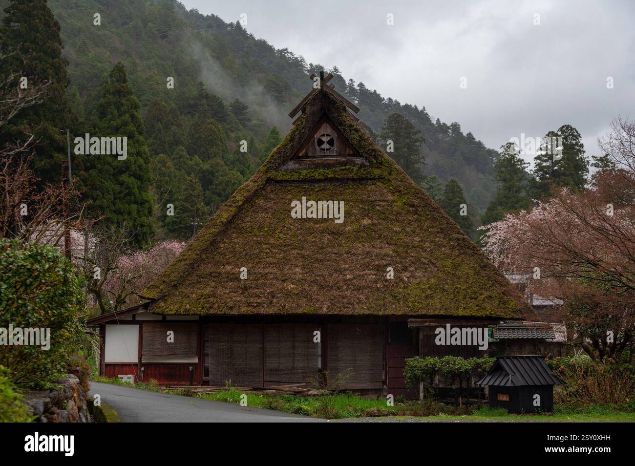 Traditional Japanese houses at Miyama, a rural village in the north of ...