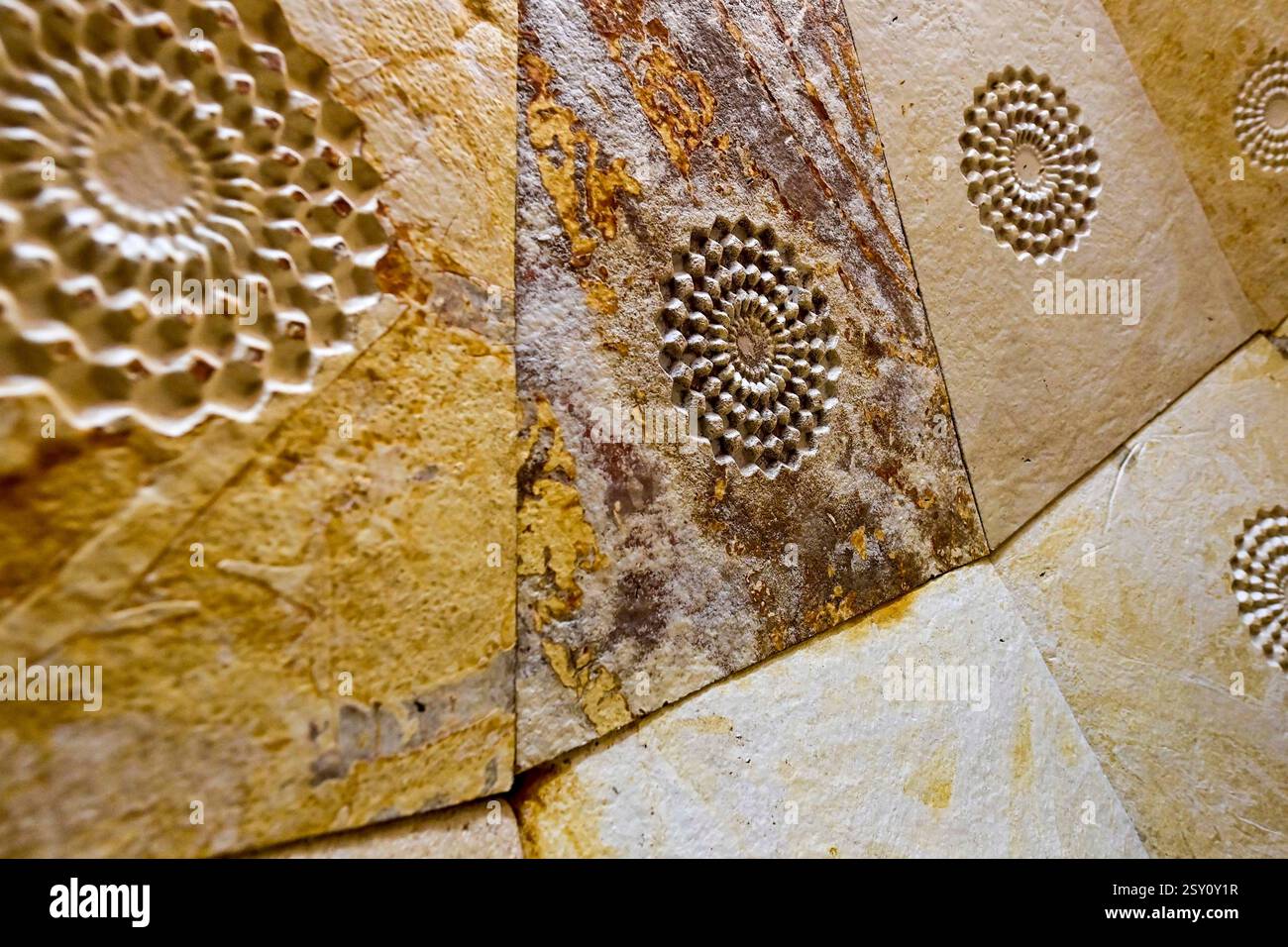 Budweis, Czech Republic. 26th Feb, 2025. Presentation of the first ...