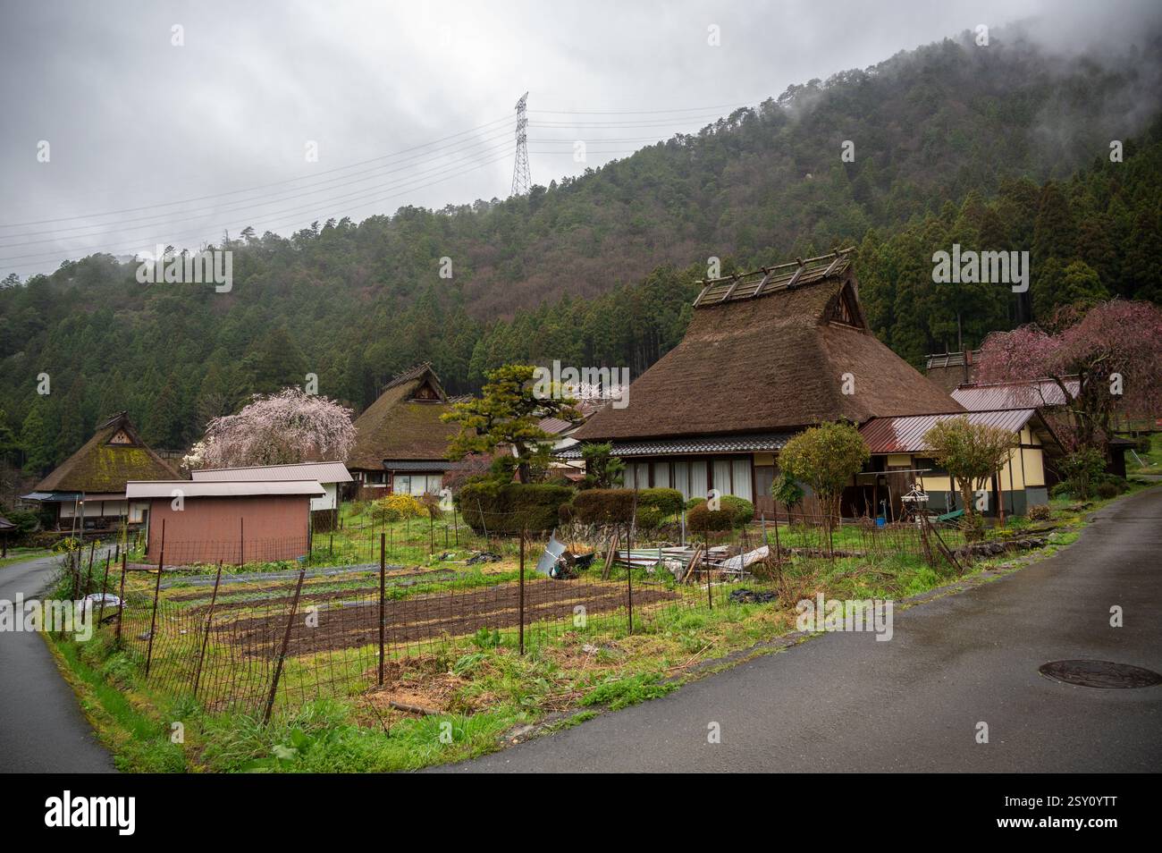 Traditional Japanese houses at Miyama, a rural village in the north of ...