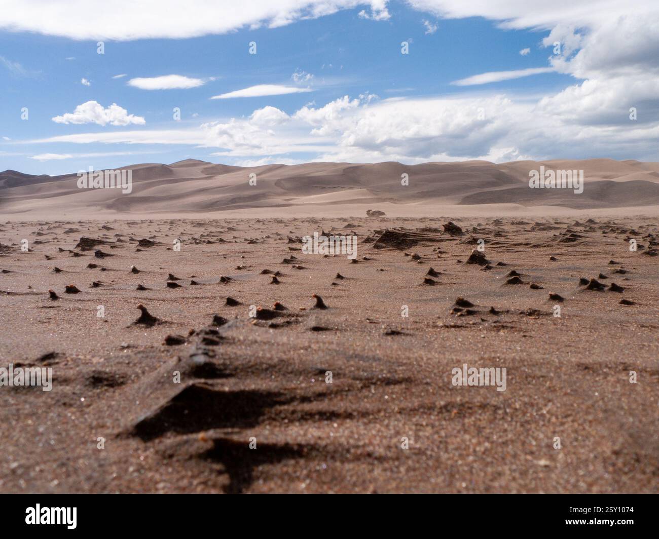 Endless sand dunes under hi-res stock photography and images - Alamy