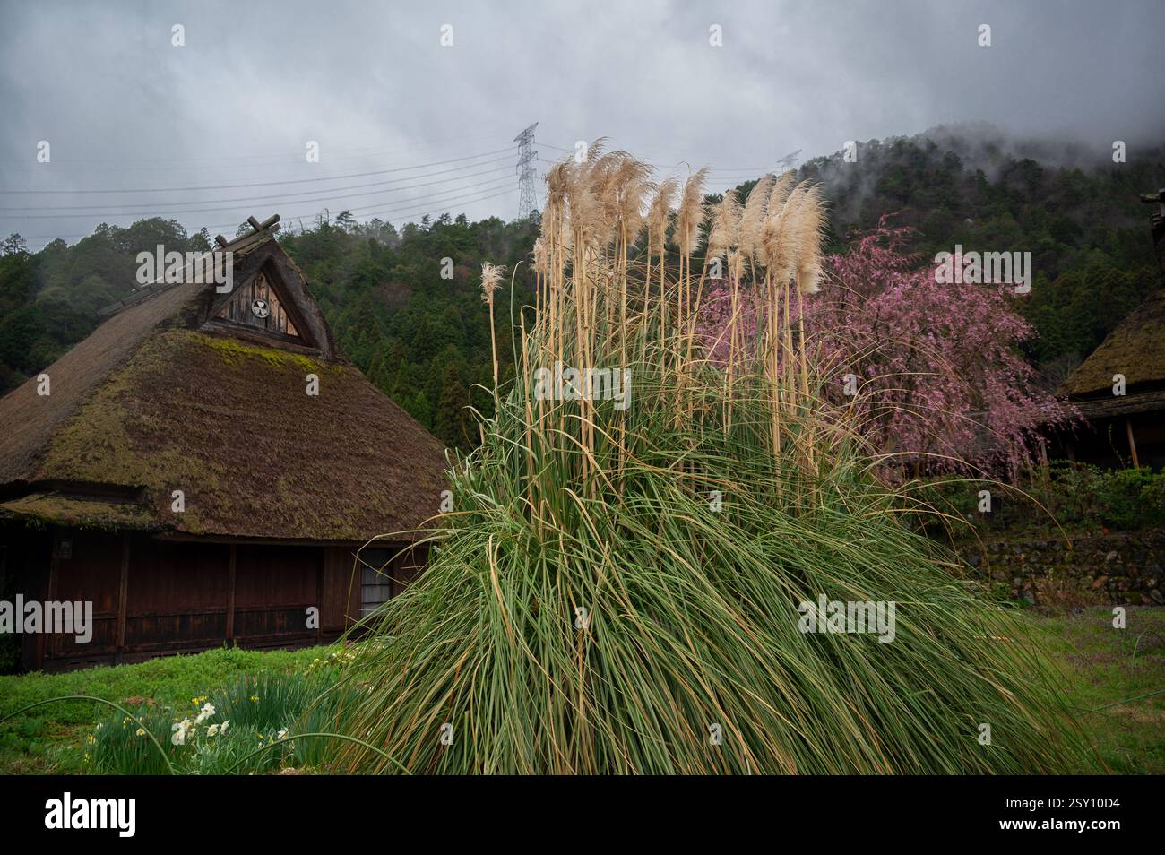 Traditional Japanese houses at Miyama, a rural village in the north of ...