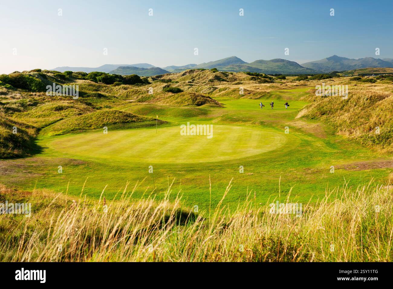 Royal St Davids Golf Club, Harlech, Wales, UK, Europe Stock Photo - Alamy