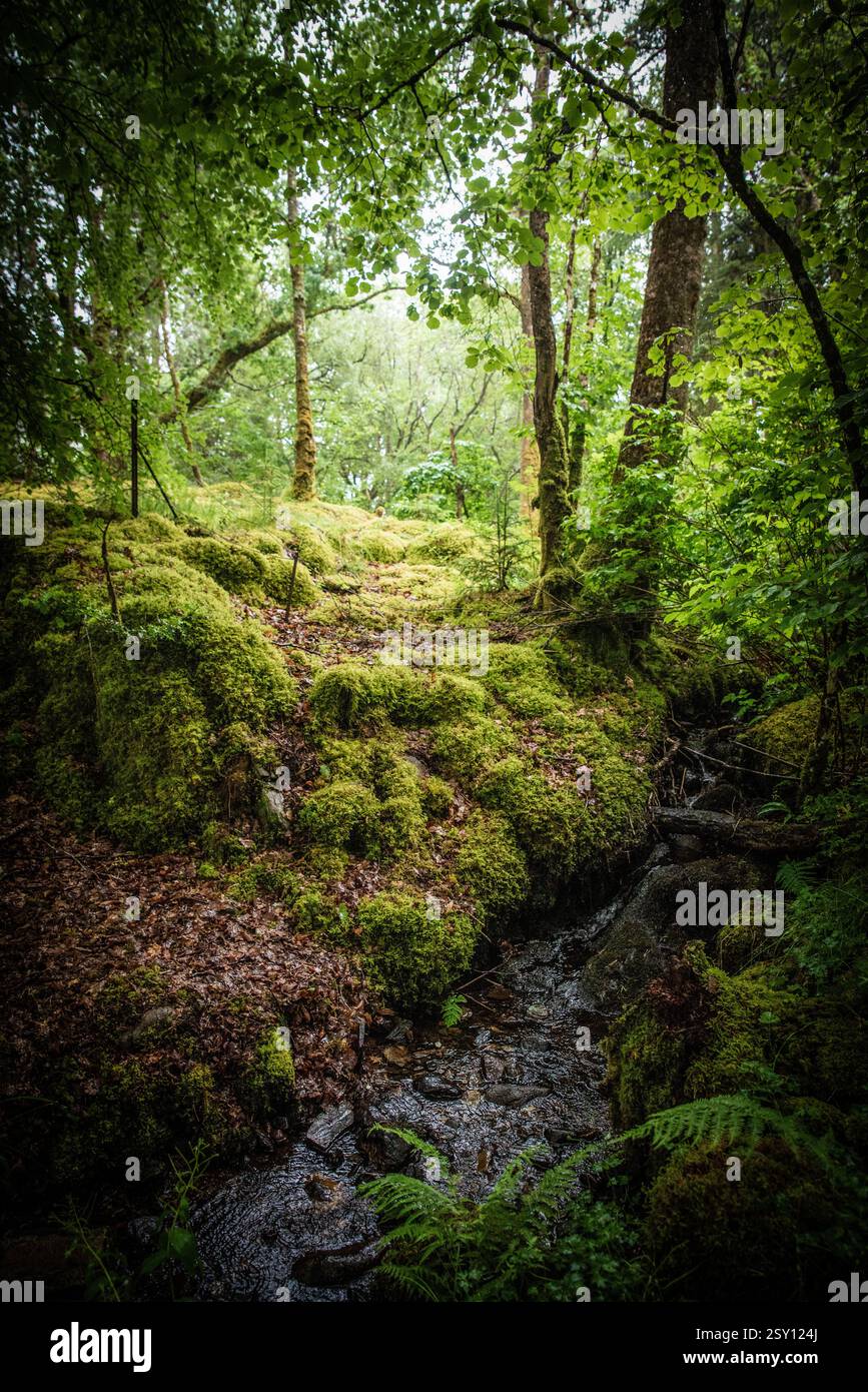 Fairy Bridge of Glen Creran, Appin, Scotland Stock Photo - Alamy