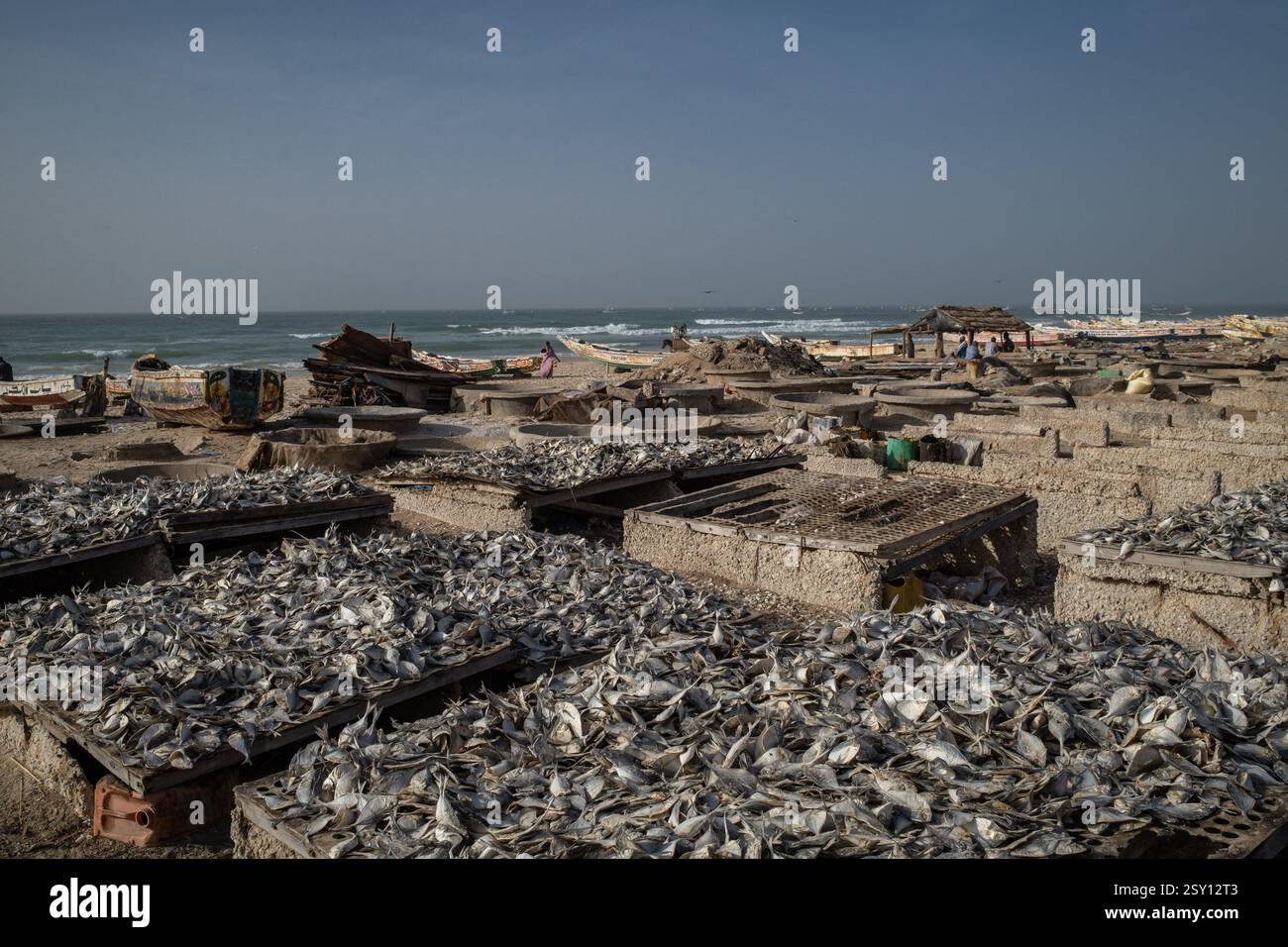 An artisanal fish drying processing site in Cayar, in the Thies region ...