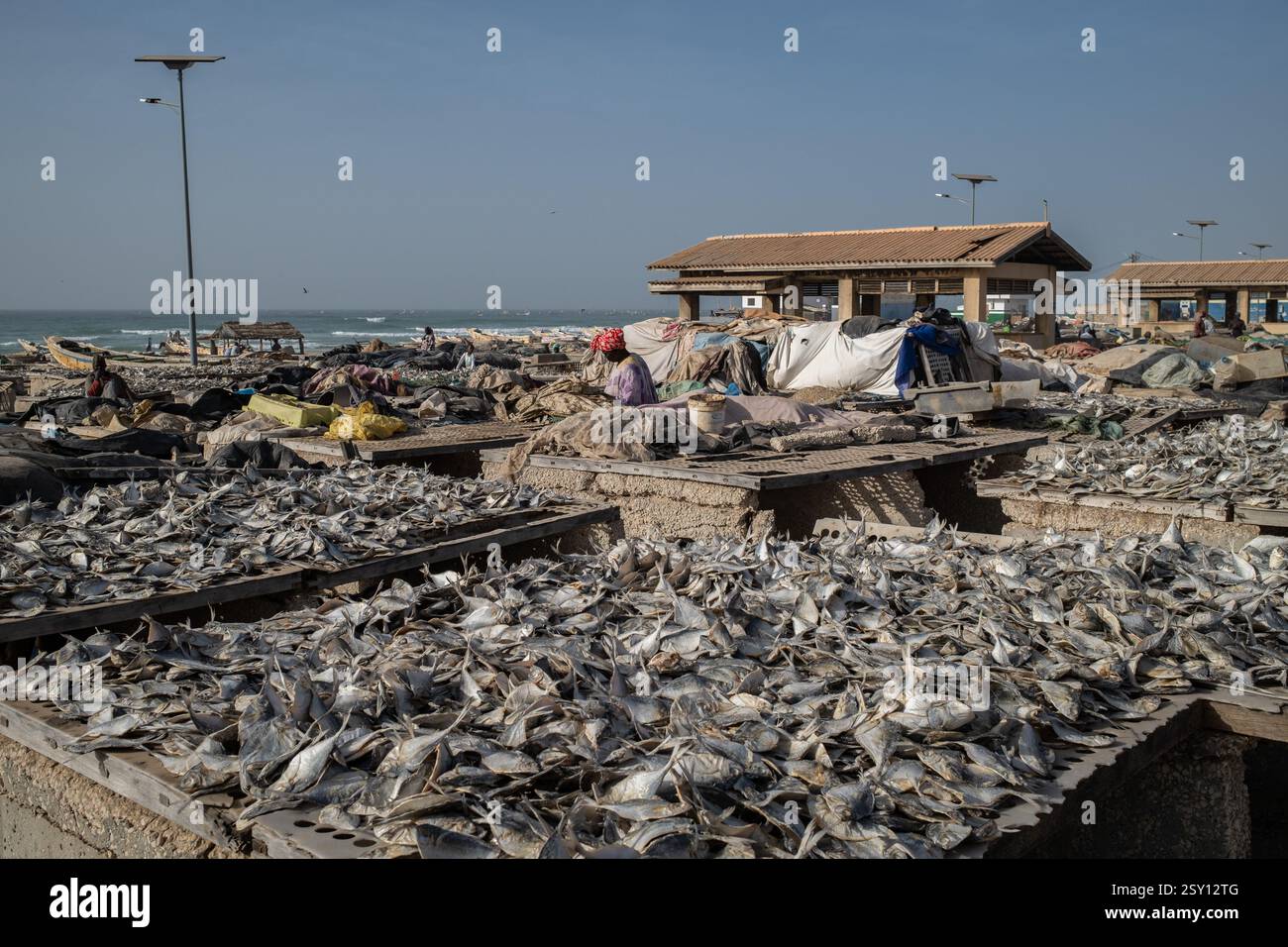 An artisanal fish drying processing site in Cayar, in the Thies region ...