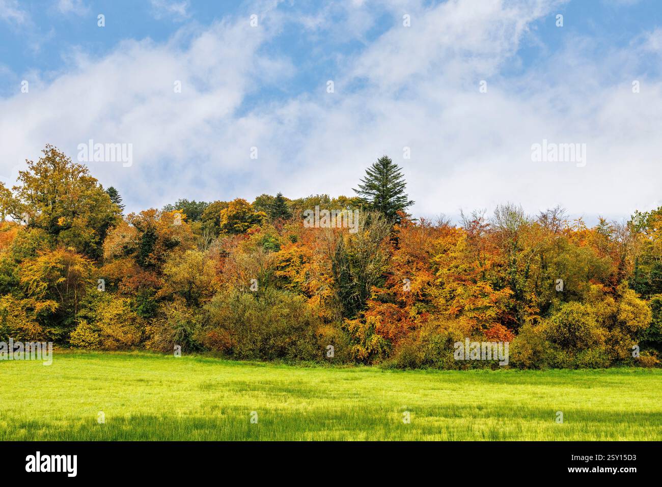 Autumn colours in the grounds of Florence Court, Co. Fermanagh, Ireland ...