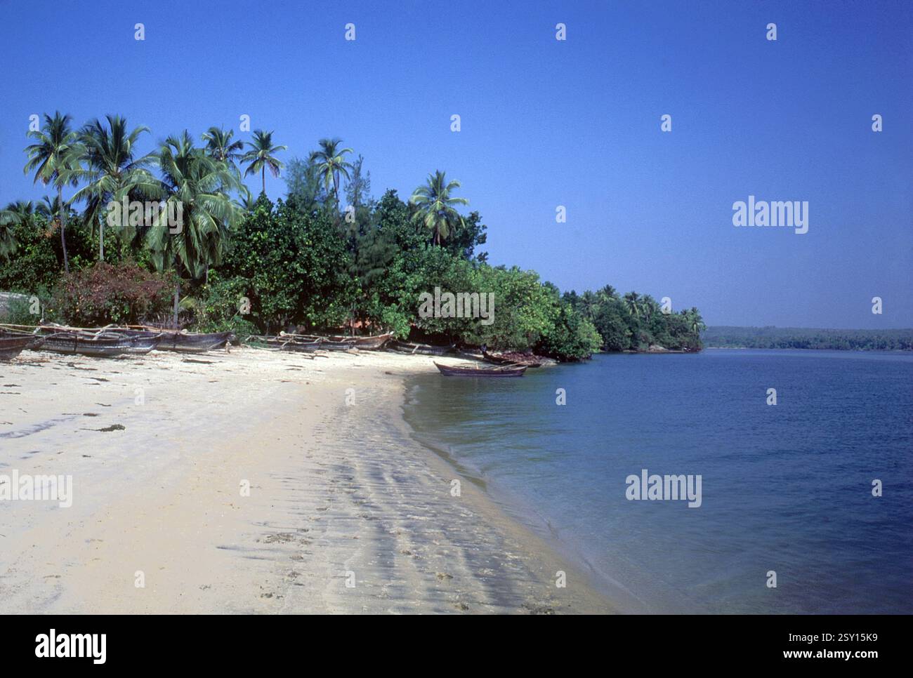 Devgad beach, sindhudurg, maharashtra, India, Asia Stock Photo - Alamy