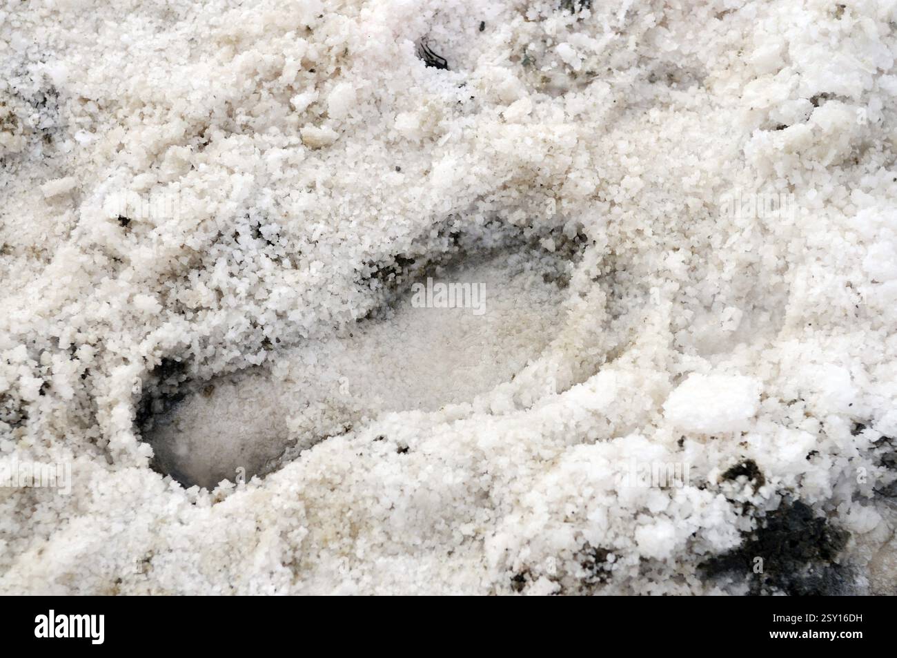 Foot mark in salt residue at thar desert, Bhuj, Kutch, Gujarat, India ...