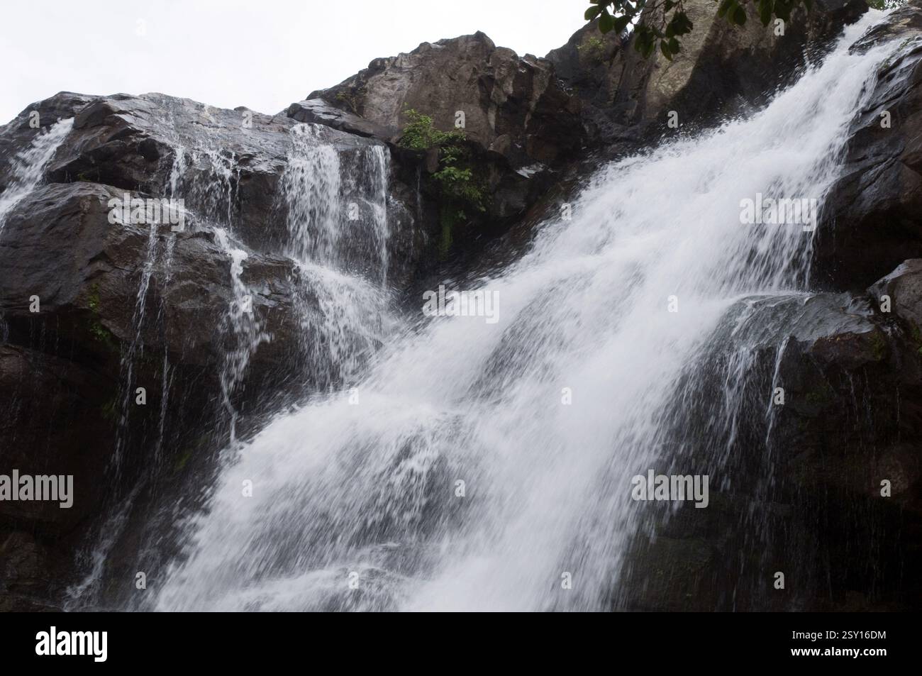 A Thoovanam waterfall over the rocks in tremendous speed Munnar Kerala ...