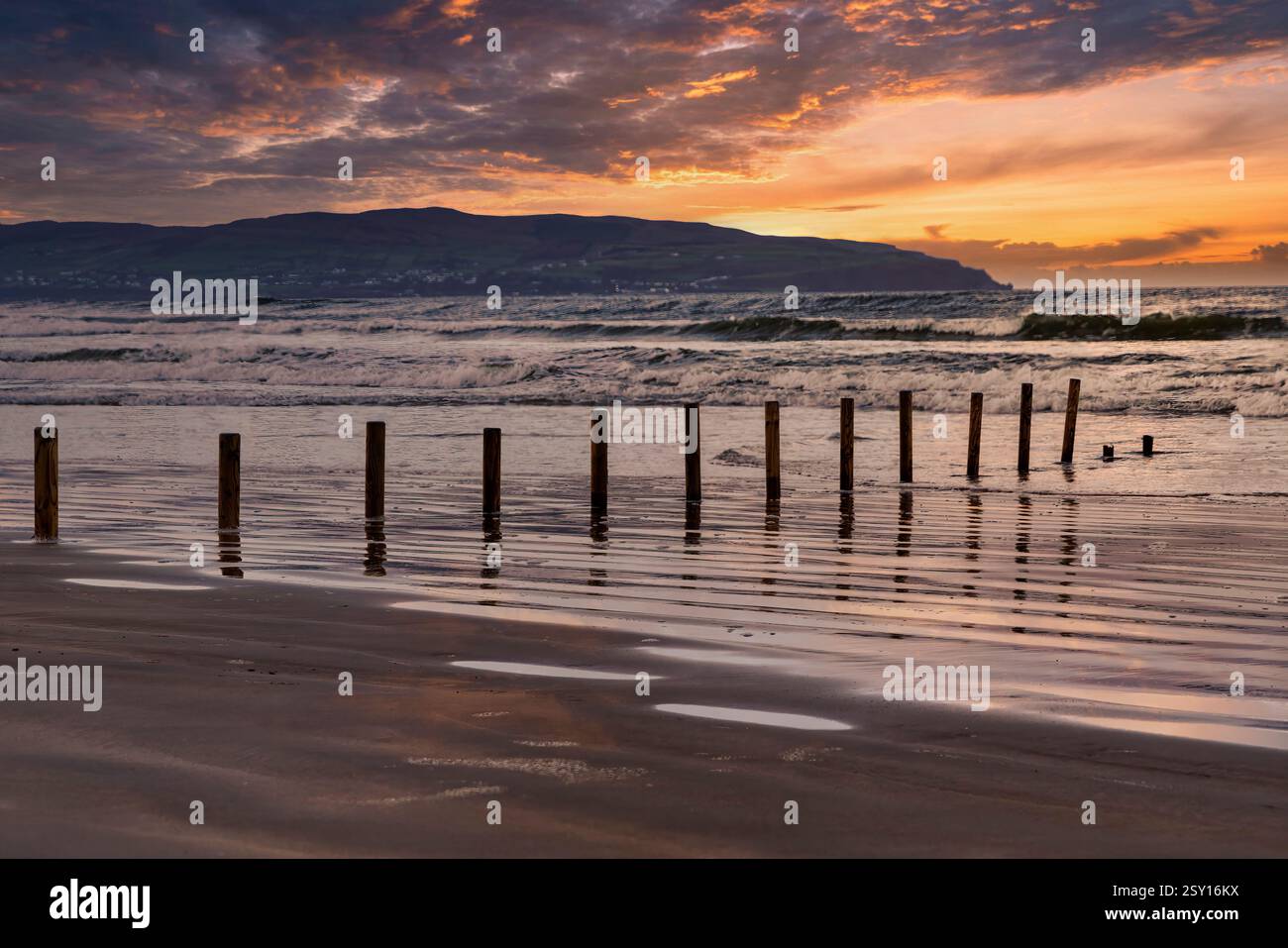 Pilings in sand, Downhill Beach, Londonderry, Ireland Stock Photo - Alamy