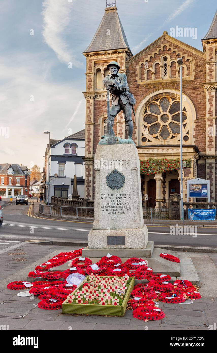 Poppies at first world war remembrance day display, Abergavenny, Wales ...