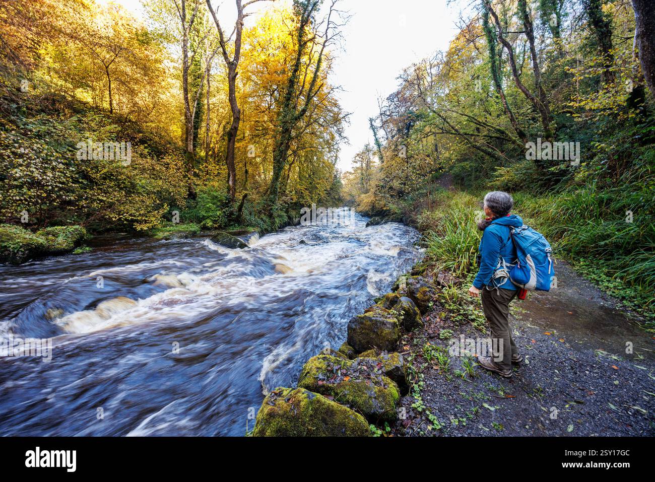 Cladagh Glen, Marble Arch Caves, Co. Fermanagh, Ireland Stock Photo - Alamy